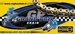 REGINA CHAIN RACE 520 X-RING GOLD - Module Moto